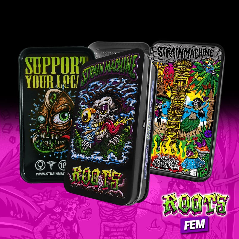 STRAIN MACHINE ROOTS AMNESIA XL (3+1) Formato 3 Semillas